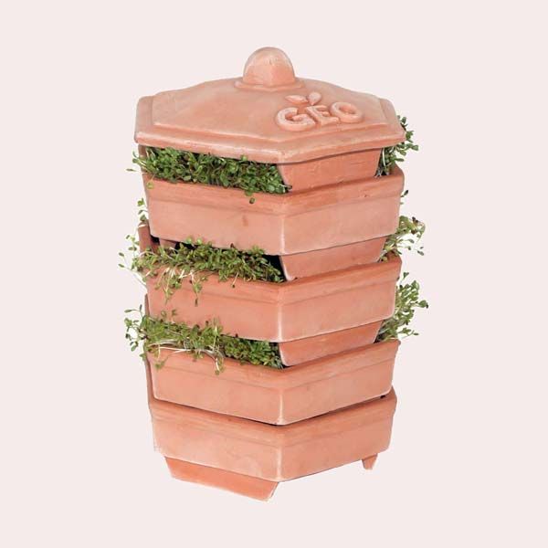 Estos son los mejores germinadores de semillas para cultivar tus ...