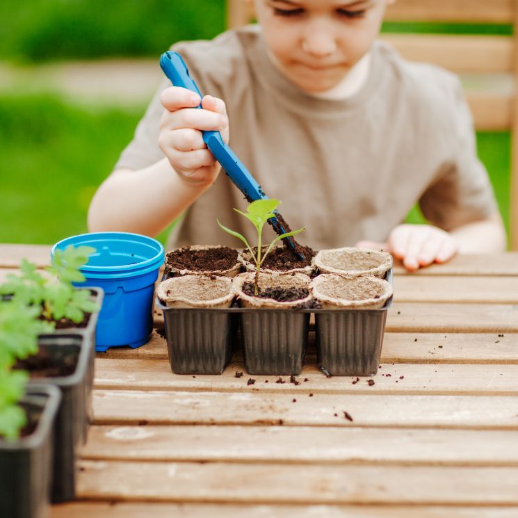 Los mejores mini huertos de exterior para tu terraza o balcón