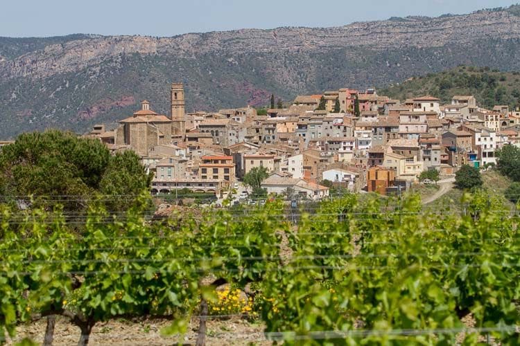 En bici (eléctrica) por el Priorat, para un ‘wine tour’ por la Costa ...