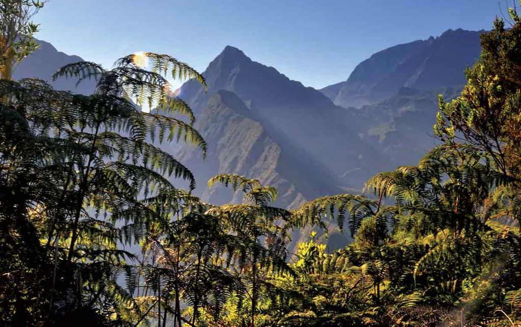 15 imágenes de Isla Reunión, un vergel en medio del Océano Índico