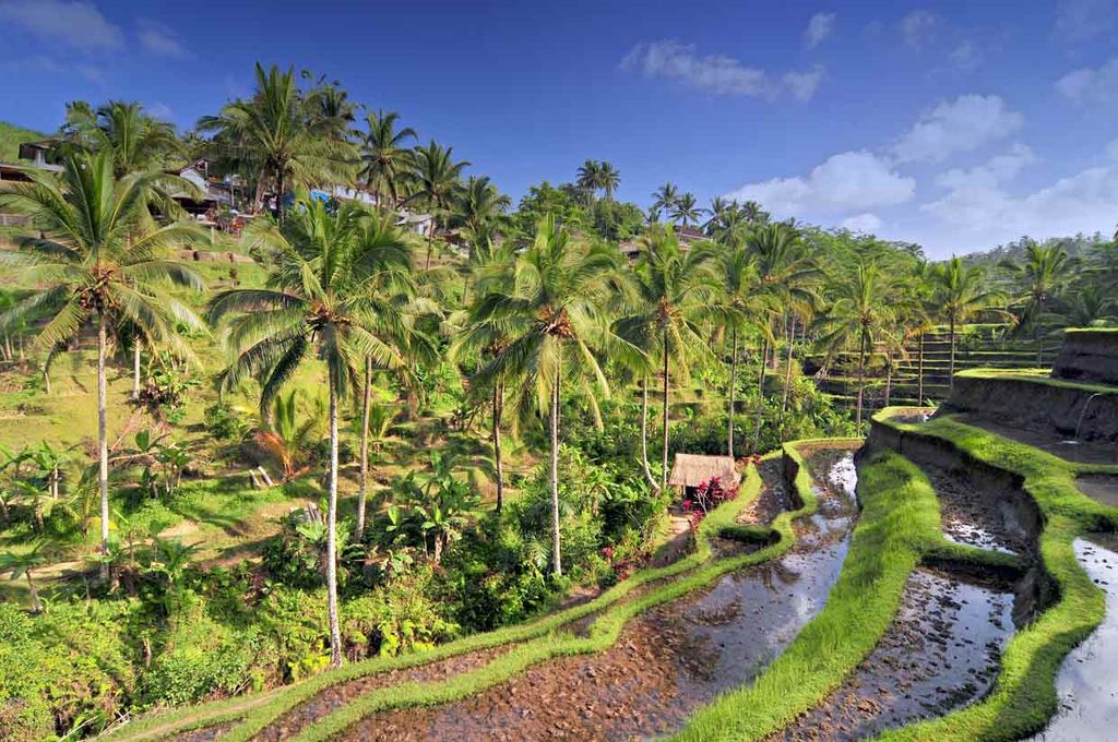 Fotografías para enamorarte locamente de Bali