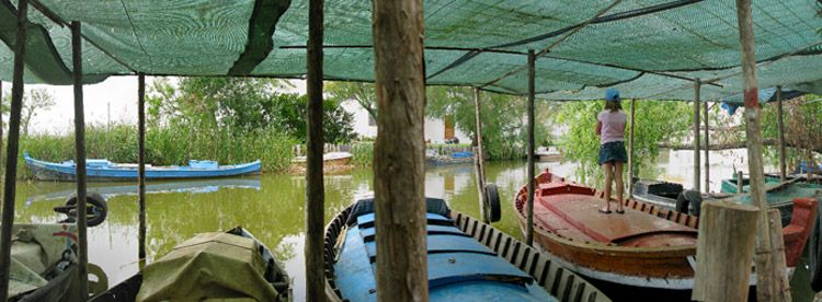 Valencia Green: un fin de semana para vivir la ciudad de modo saludable