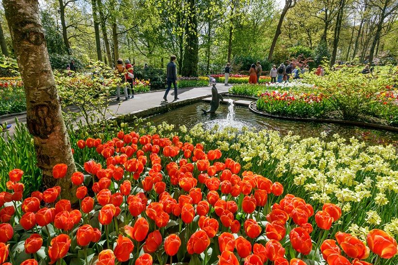 Keukenhof, el jardín más colorido de Europa en primavera