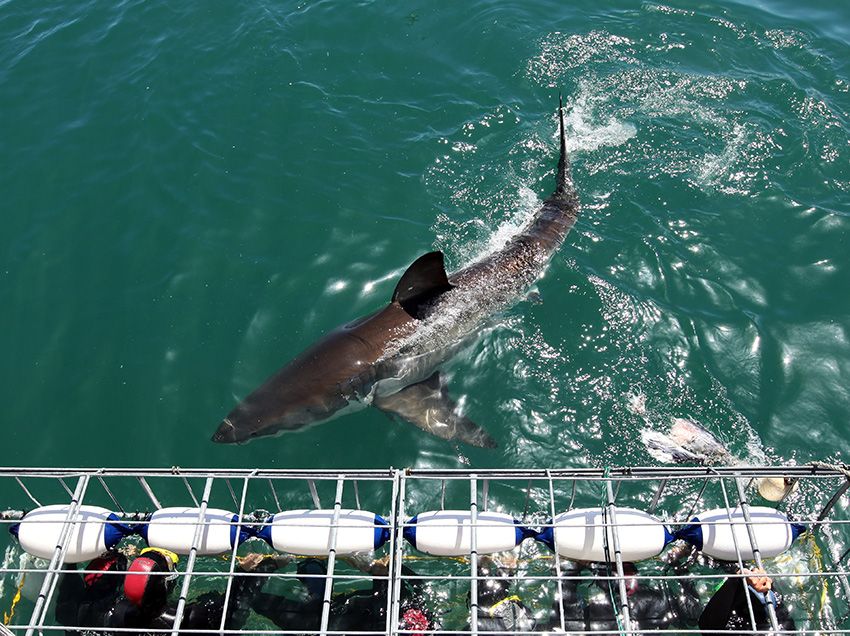 Horóscopos: Destinos donde los Aries son felices - Foto 6