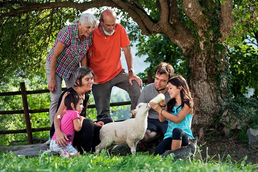 Top 5 para un verano en familia en Barcelona - Foto 3