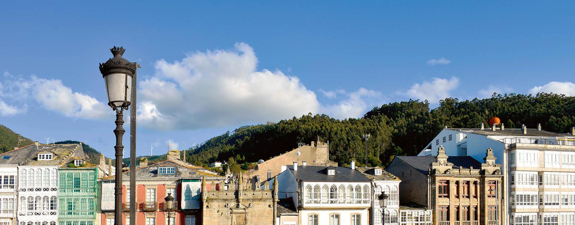 Estos son los árboles más espectaculares de Lugo