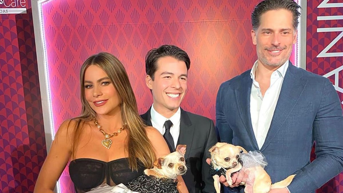 Sofia Vergara parties with dogs in Las Vegas and it's amazing