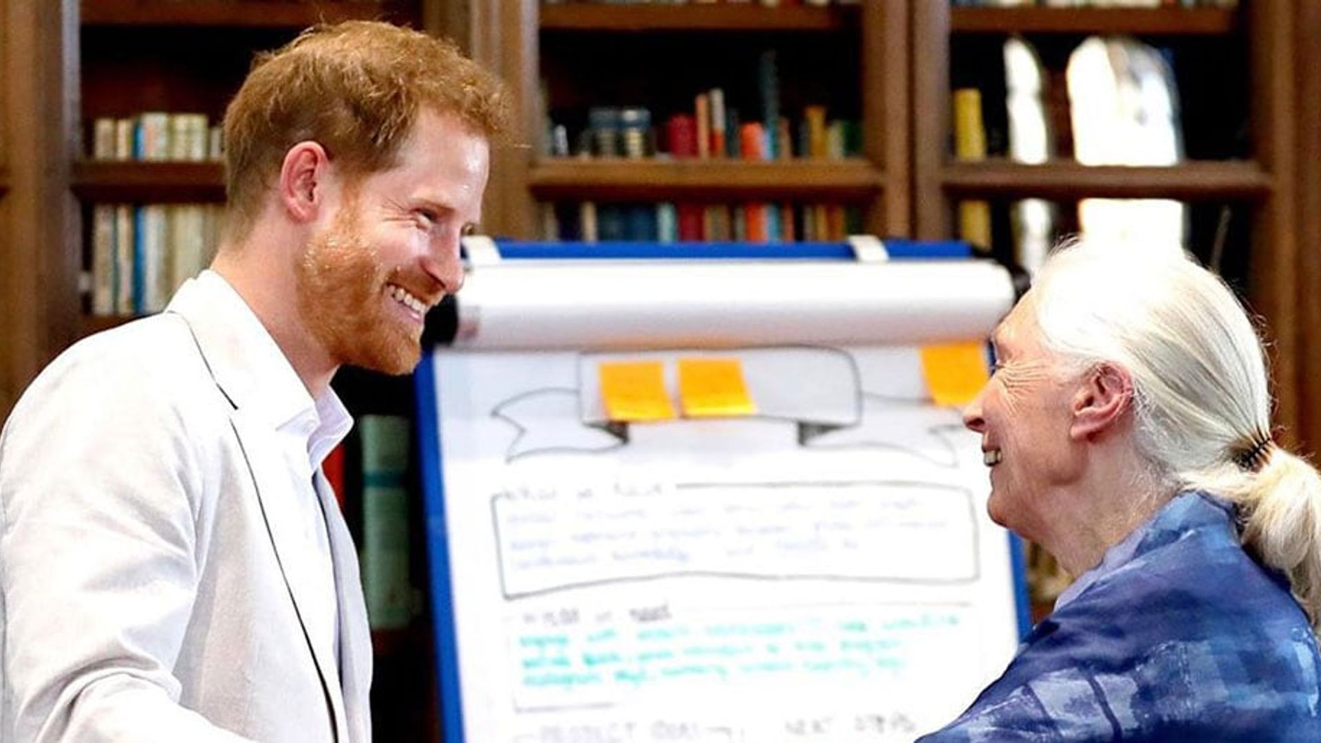 Prince Harry greets Dr. Jane Goodall with an adorable monkey greeting