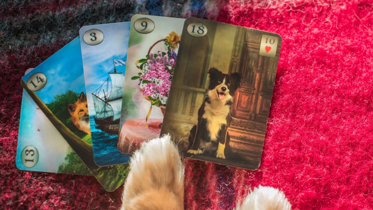 Tarot readings for pets: What is your dog or cat trying to tell you?