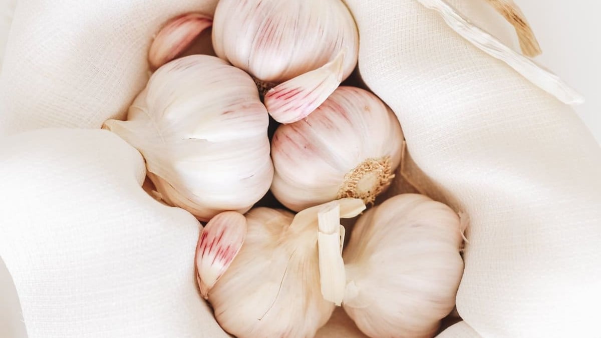 National Garlic Day: top health and wellness benefits