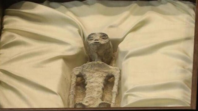 Mexico: Celebrity news, royals, entertainment and lifestyle