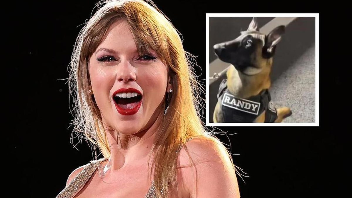 Pet of the Week: This dog stole the show at Taylor Swift’s concert in ...