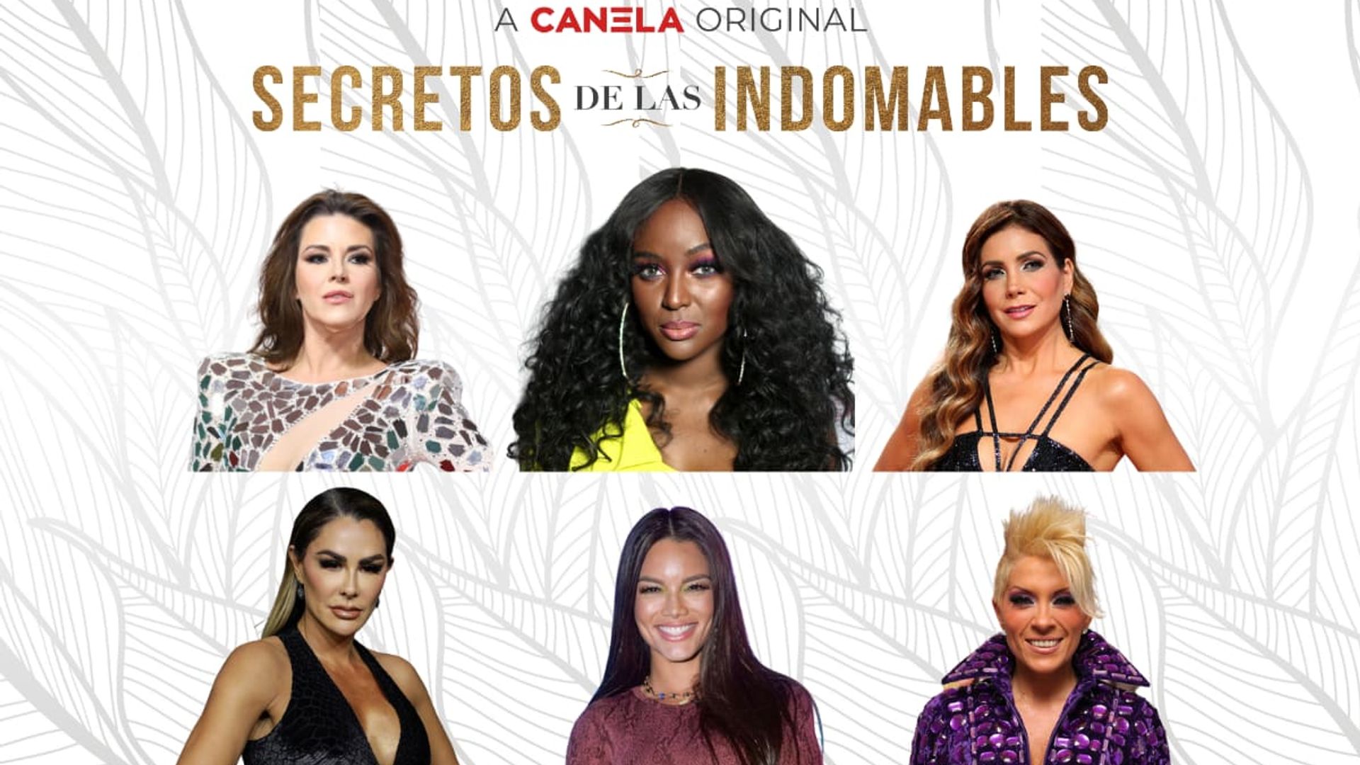 Canela.TV unveils all-star cast for upcoming reality series “Secretos ...
