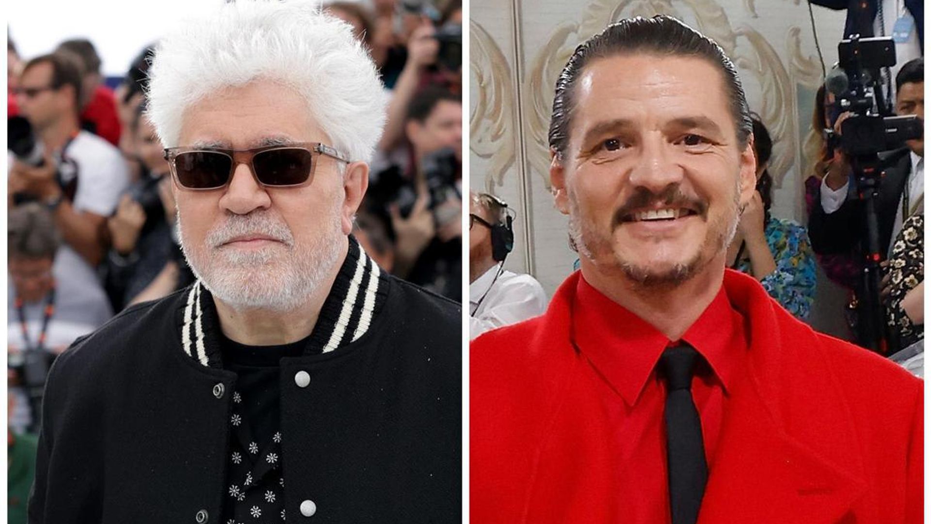 Pedro Almodovar praises Pedro Pascal and his acting skills