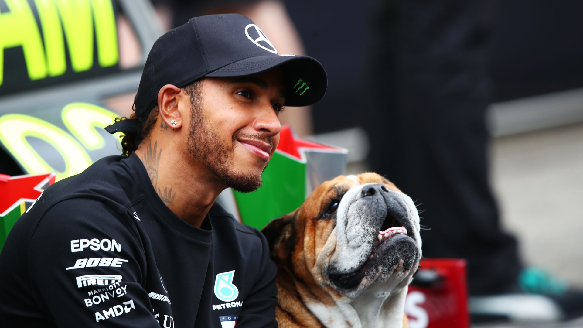 Lewis Hamilton's dog Roscoe battles pneumonia and coma: Driver asks ...