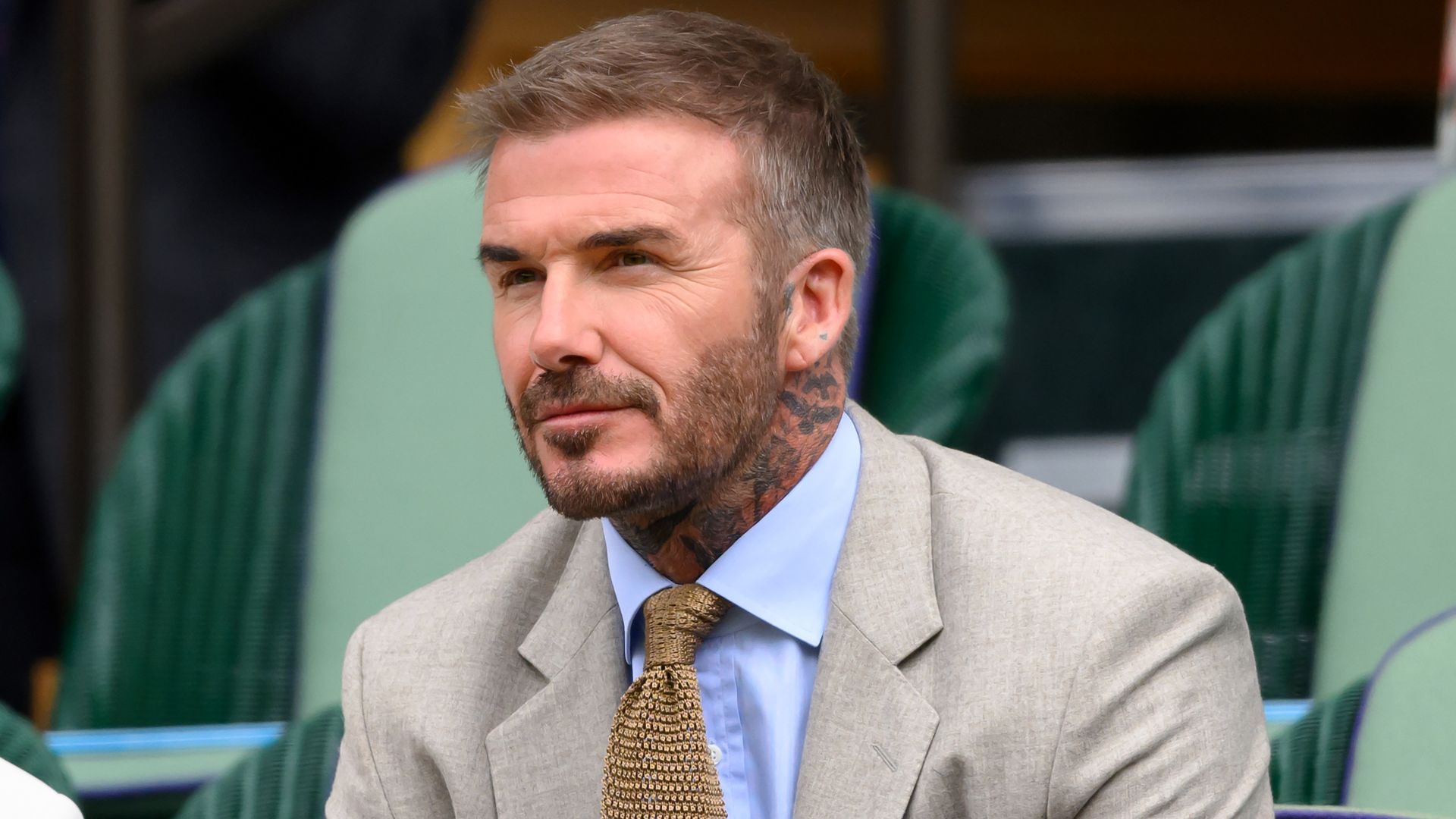 David Beckham's adorable dogs: A glimpse into his quiet country life in ...