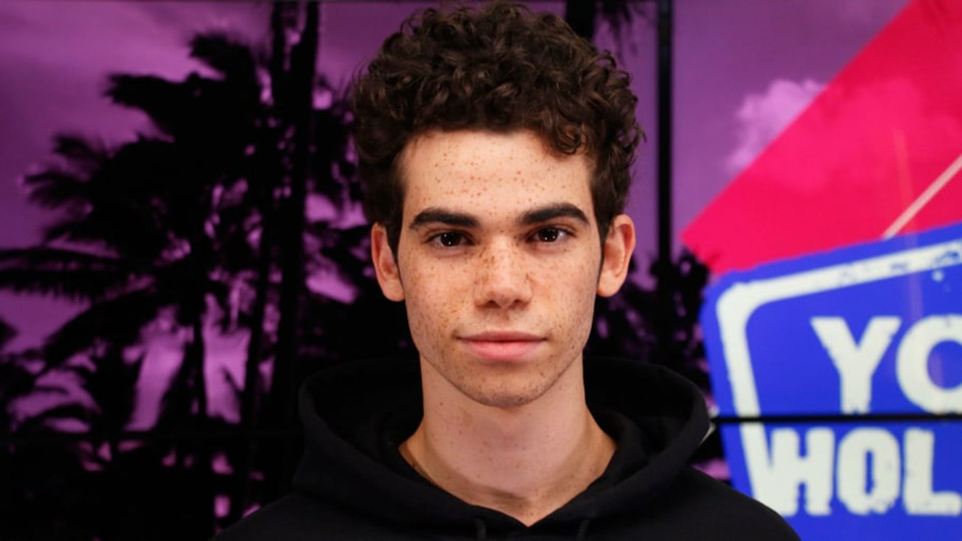 Disney Channel star Cameron Boyce dies at 20 - stars react