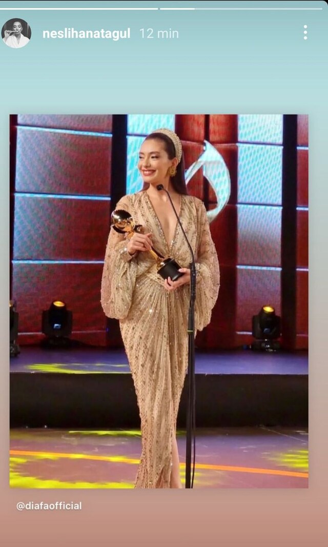 Neslihan Atagül is recognized as Best Actress at the DIAFA Awards