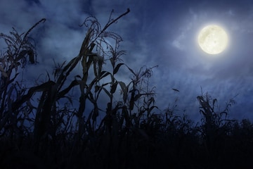 Full Corn Moon September 2025: Date, Rare Lunar Eclipse & Meaning
