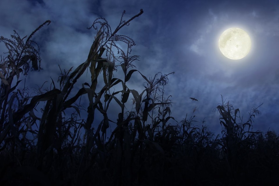 Full Corn Moon September 2025: Date, Rare Lunar Eclipse & Meaning