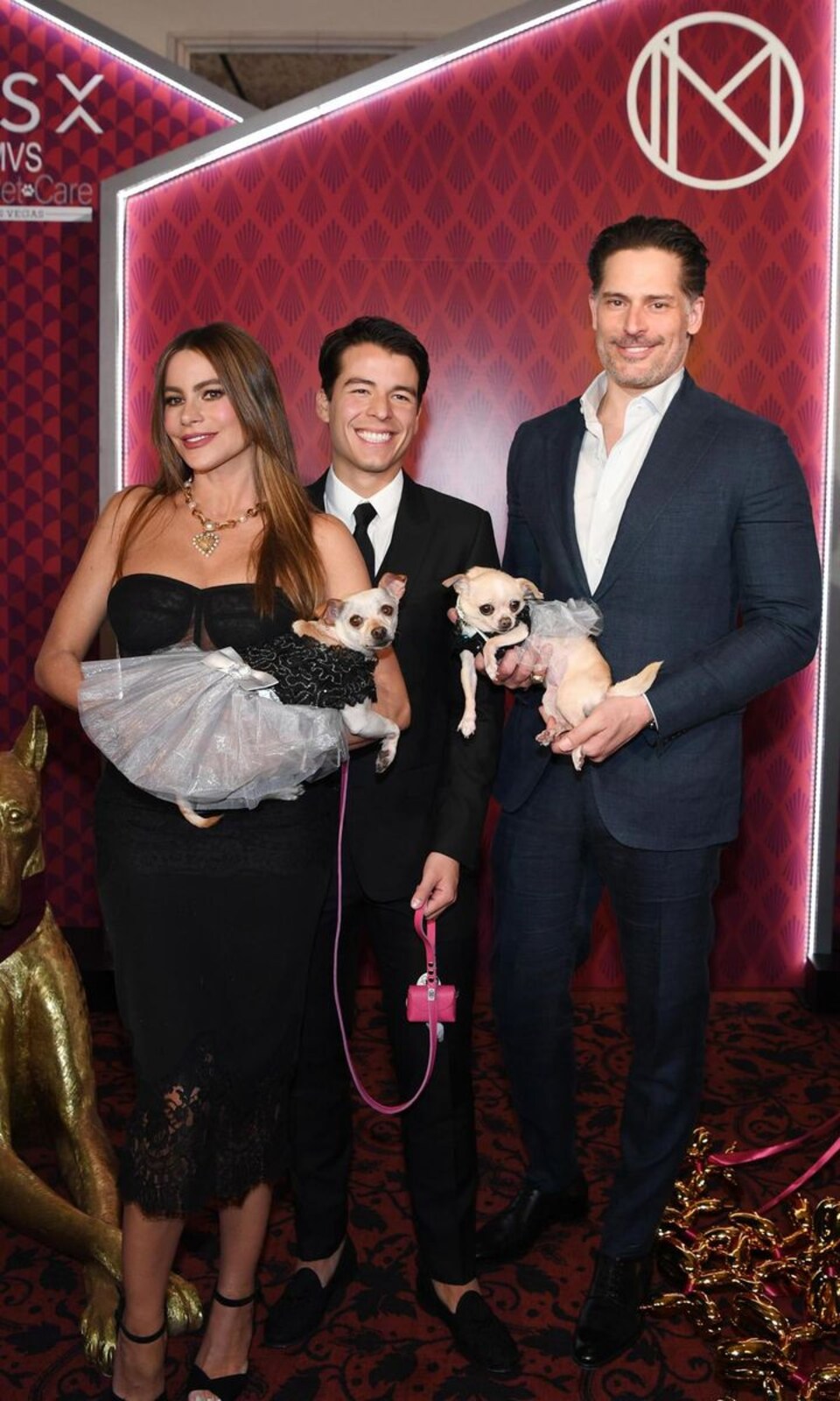 Sofia Vergara's son Manolo launches clothesbrand for dogs