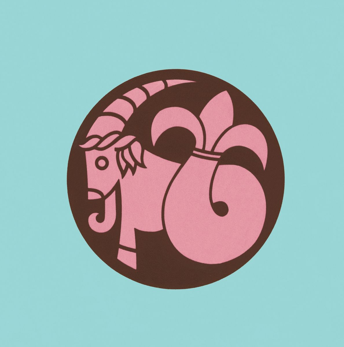 Zodiac predictions 2026: What each sign can expect next year (with key ...