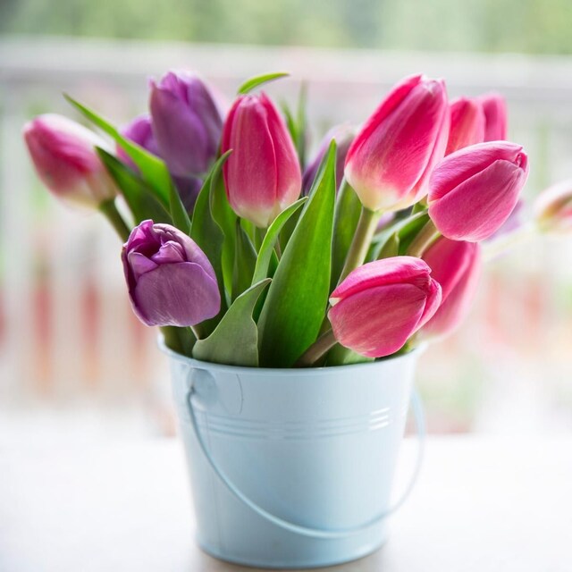 See which flower aligns with your personality based on your zodiac sign