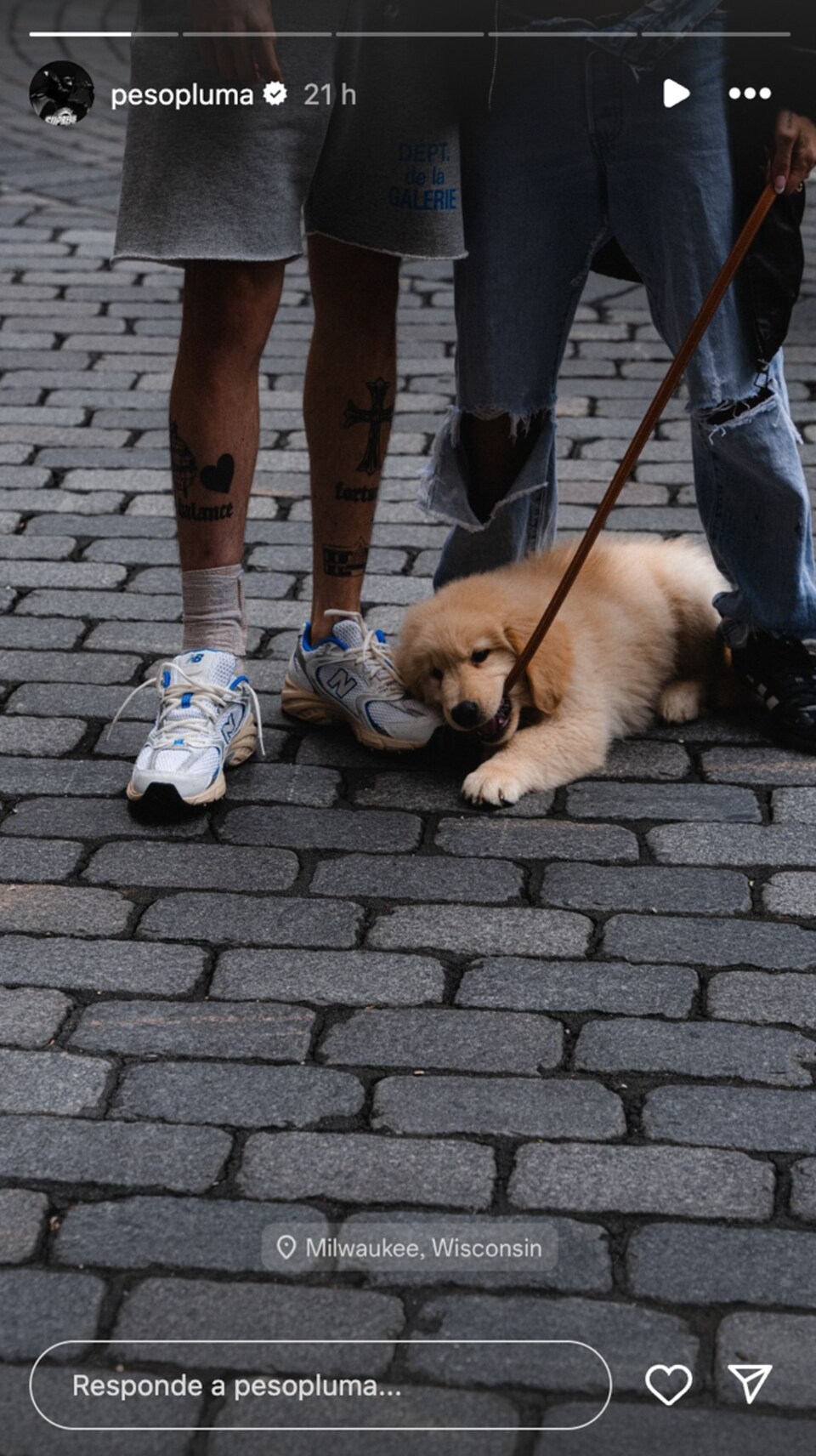 Peso Pluma and Hanna Howell become 'pawrents'!