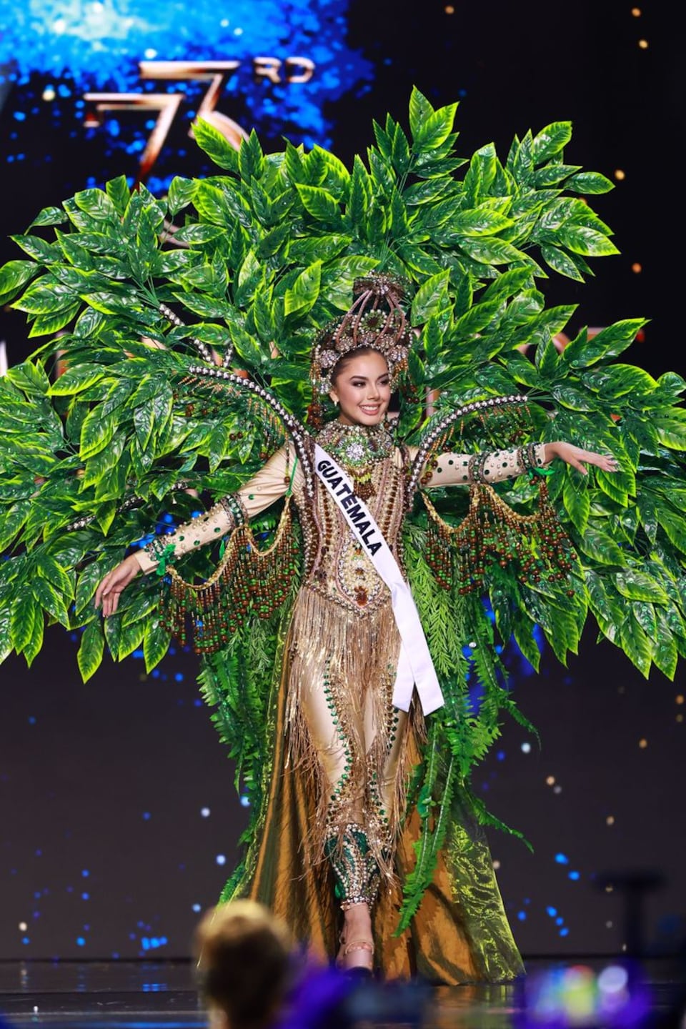 20 Most impressive National Costumes from Miss Universe 2024
