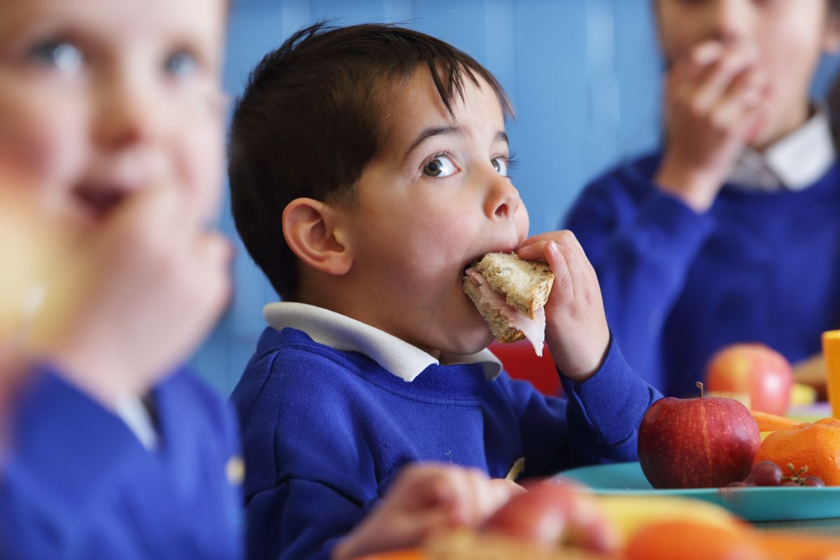 Seven easy kid lunches that actually get eaten