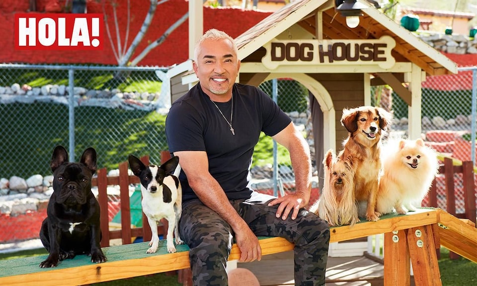 Cesar Millán opens up about his past and his mission