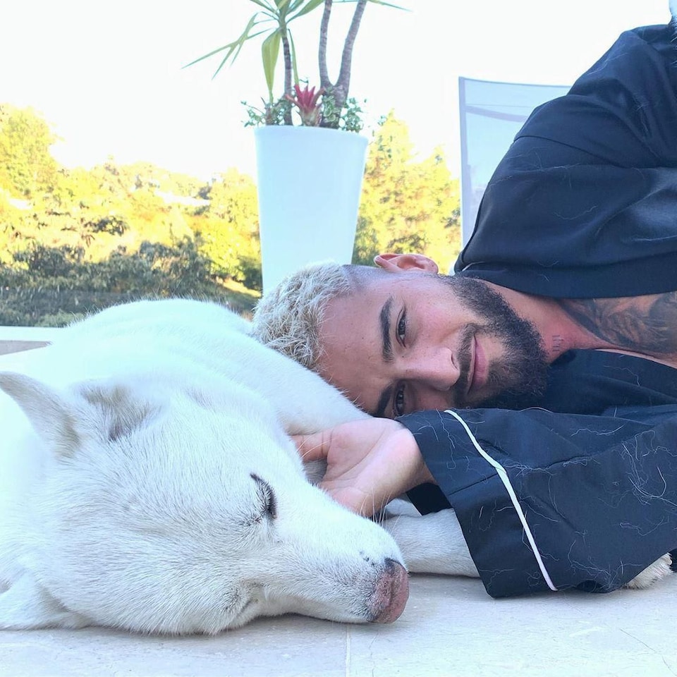 Maluma's dog Bonnie has recovered after a brief illness