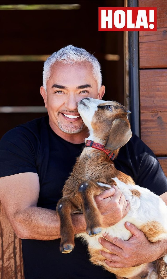 Cesar Millán opens up about his past and his mission