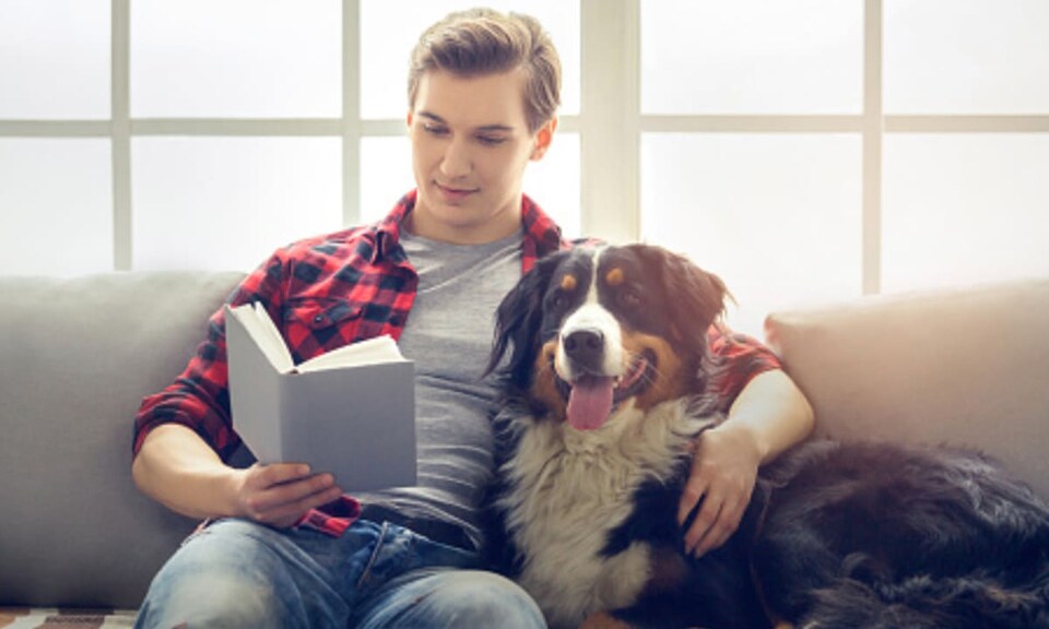 Is your dog bilingual? New study reveals your dog can recognize ...