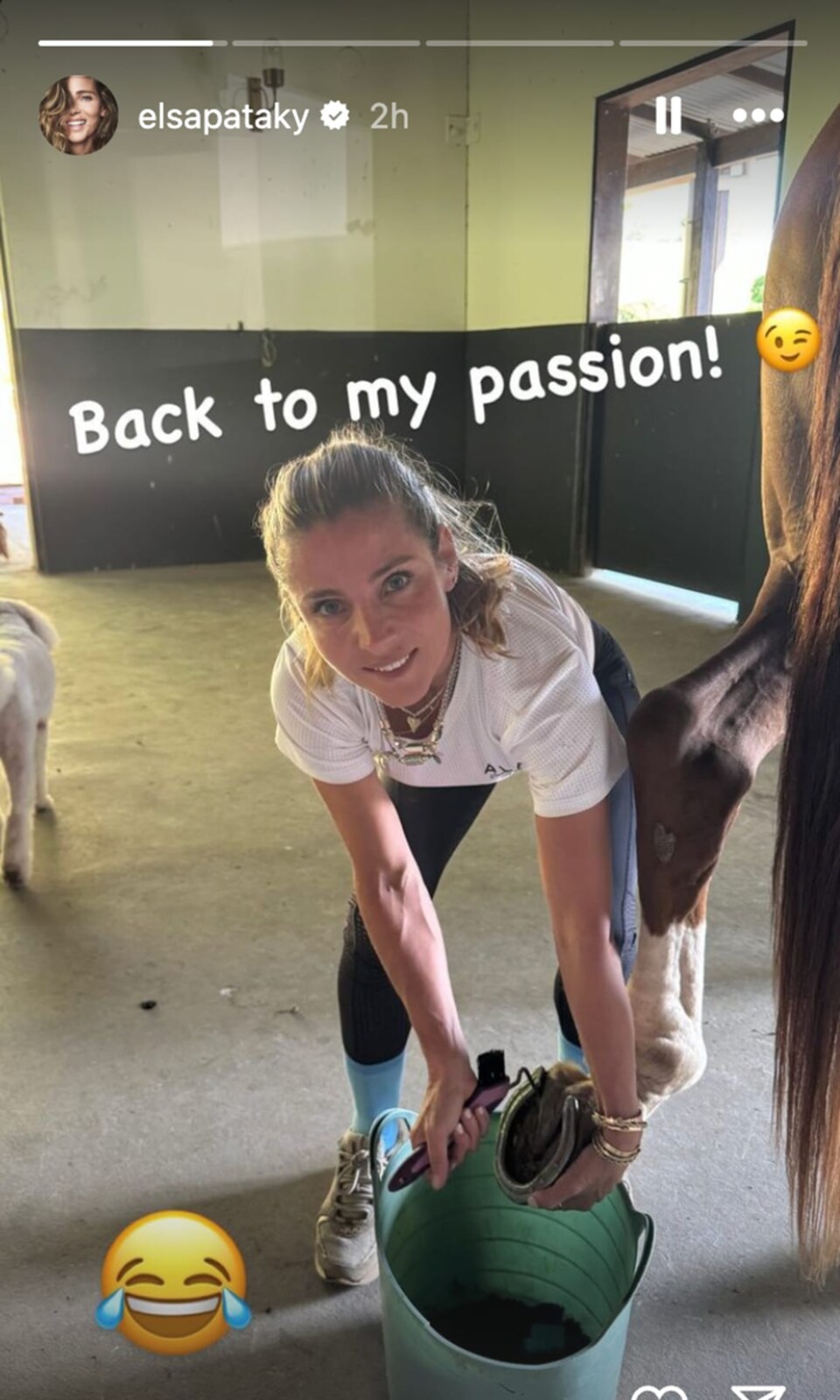 Elsa Pataky shares photos of horses; ‘Back to my passion!’