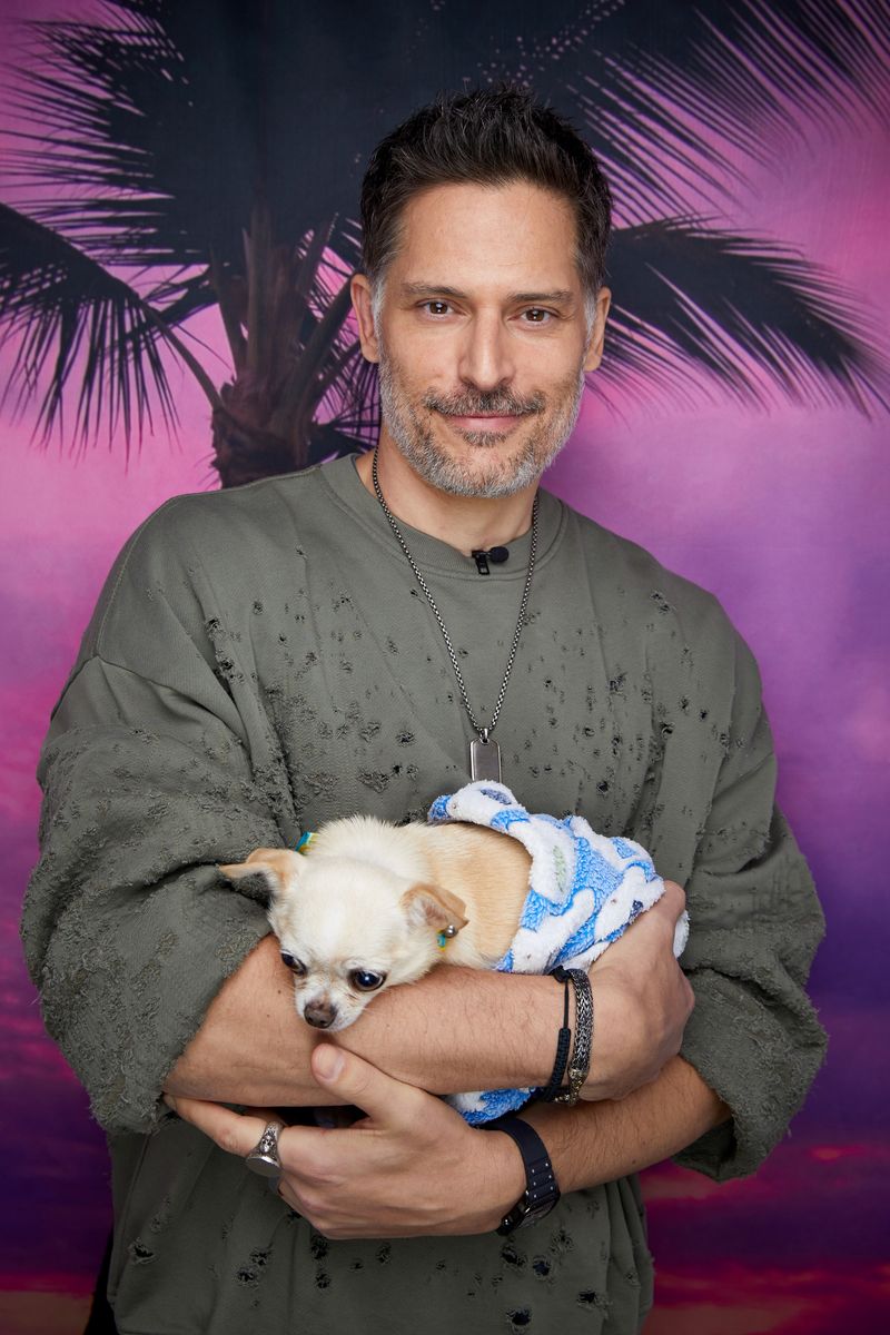 Joe Manganiello talks about Bubbles, his dog with Sofia Vergara: 'The ...
