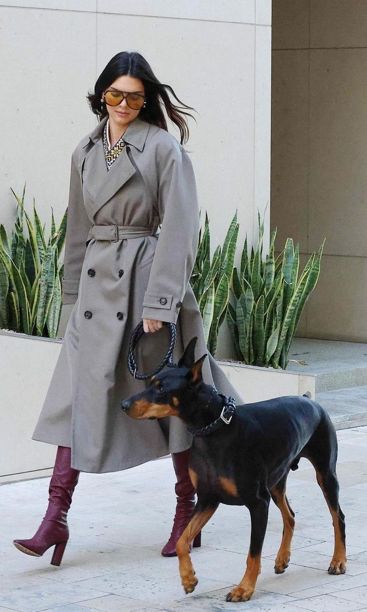 Kendall Jenner wears head-turning look while walking her dog in Beverly ...