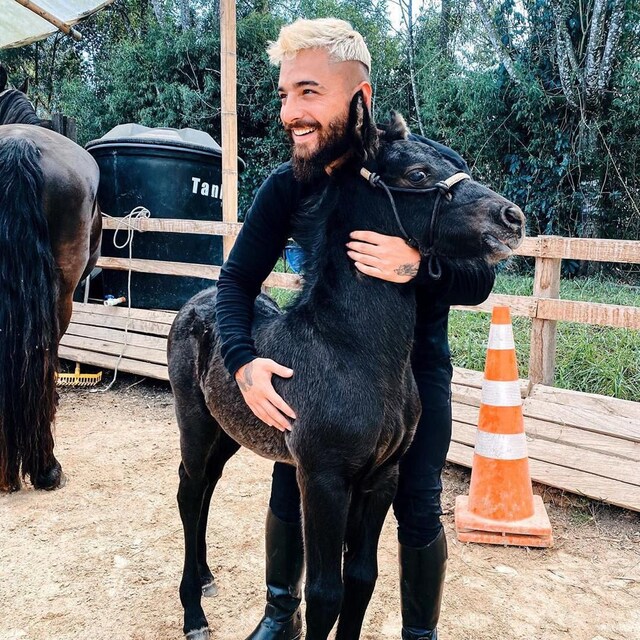 Maluma gifts his grandfather with a donkey