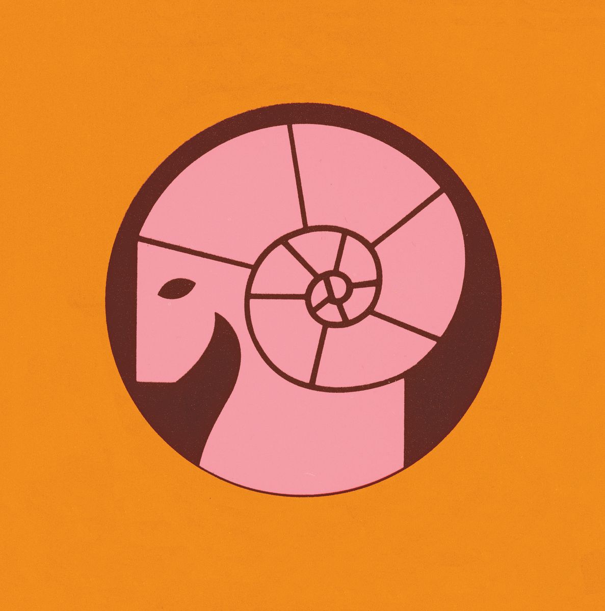 How Aquarius season will affect each zodiac sign: From January 20th to ...