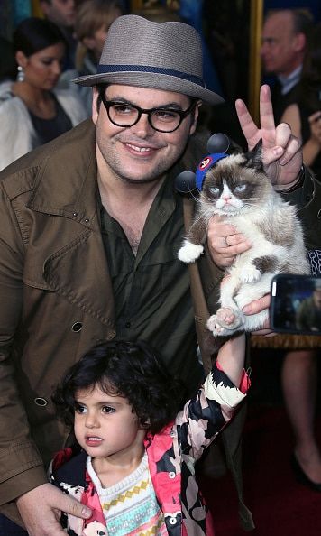 Grumpy Cat attends Cinderella Premiere