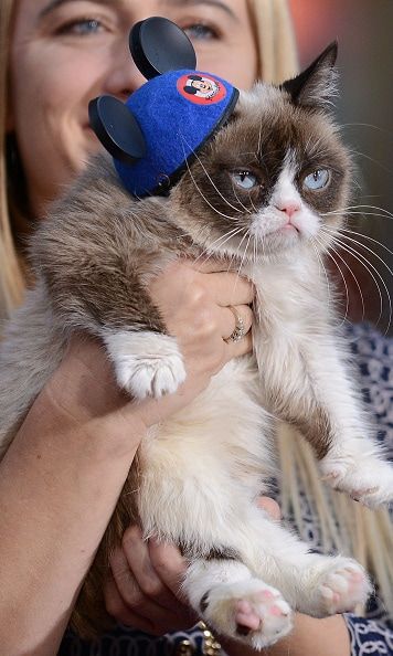 Grumpy Cat attends Cinderella Premiere