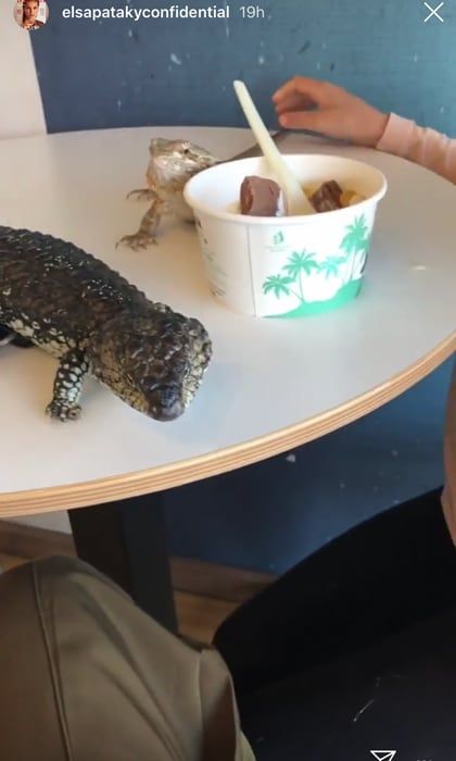 Elsa Pataky takes kids and pets lizards out for froyo in Byron Bay